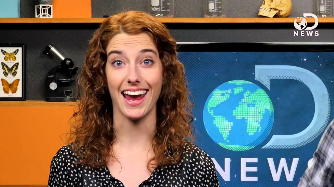 Discovery World - Animals || How the Endangered Species Act Looks Out ...