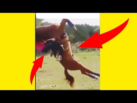 AT SURMEK ISTEDI AMMA YIXILDI ATIN ALTINDA QALDI || GULMELI VIDEOLAR