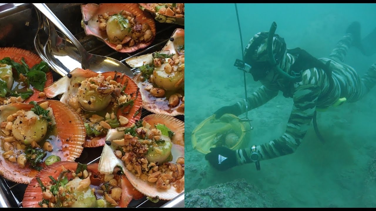 So many SCALLOPS!! Catch and Cook in Arctic Norway - YouTube