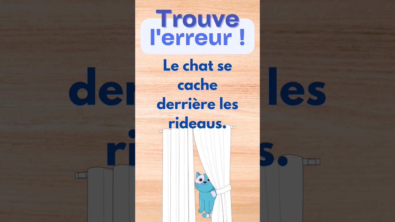 Trouve l'erreur (7) #orthographe #fle #languefrançaise # ...