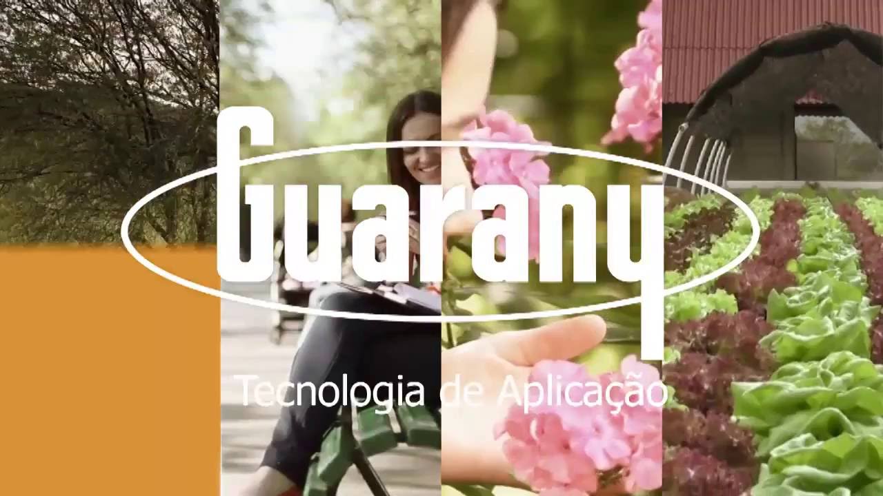 Institucional Guarany - YouTube