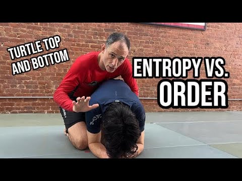 Know Turtle Position - Entropy vs Order (No Gi BJJ) - YouTube