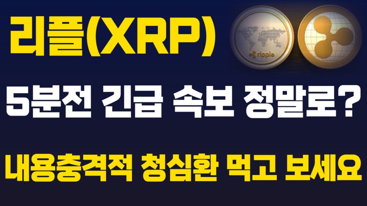 리플 5분전 긴급속보 정말로 내용 충격적 입니다 정말 청심환 꼭 먹고보세요 Xrp 리플xrp 리플전망 리플단타
