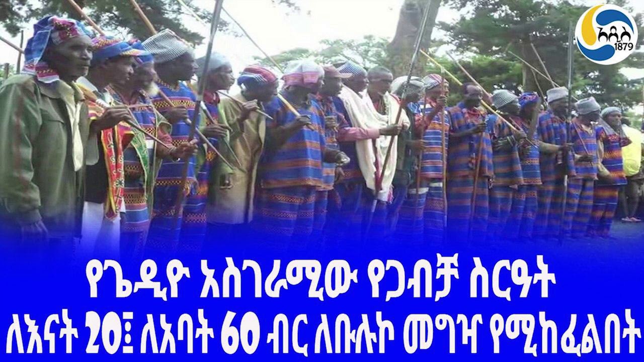 Ethiopia [ባህል] የጌዲዮ አስገራሚው የጋብቻ ስርዓት Gedeo | Ethiopian wedding | - YouTube