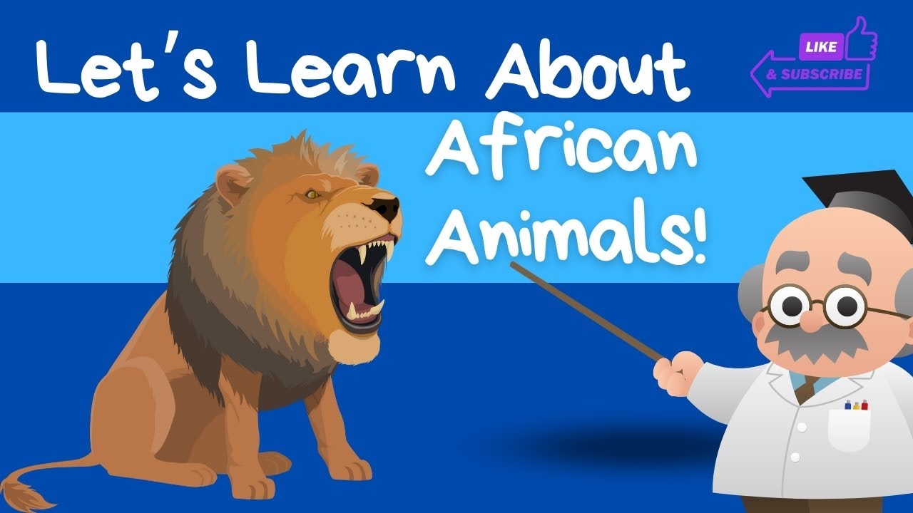 Learning Fun | Animals For Kids | Learn About Animals #kidslearning # ...