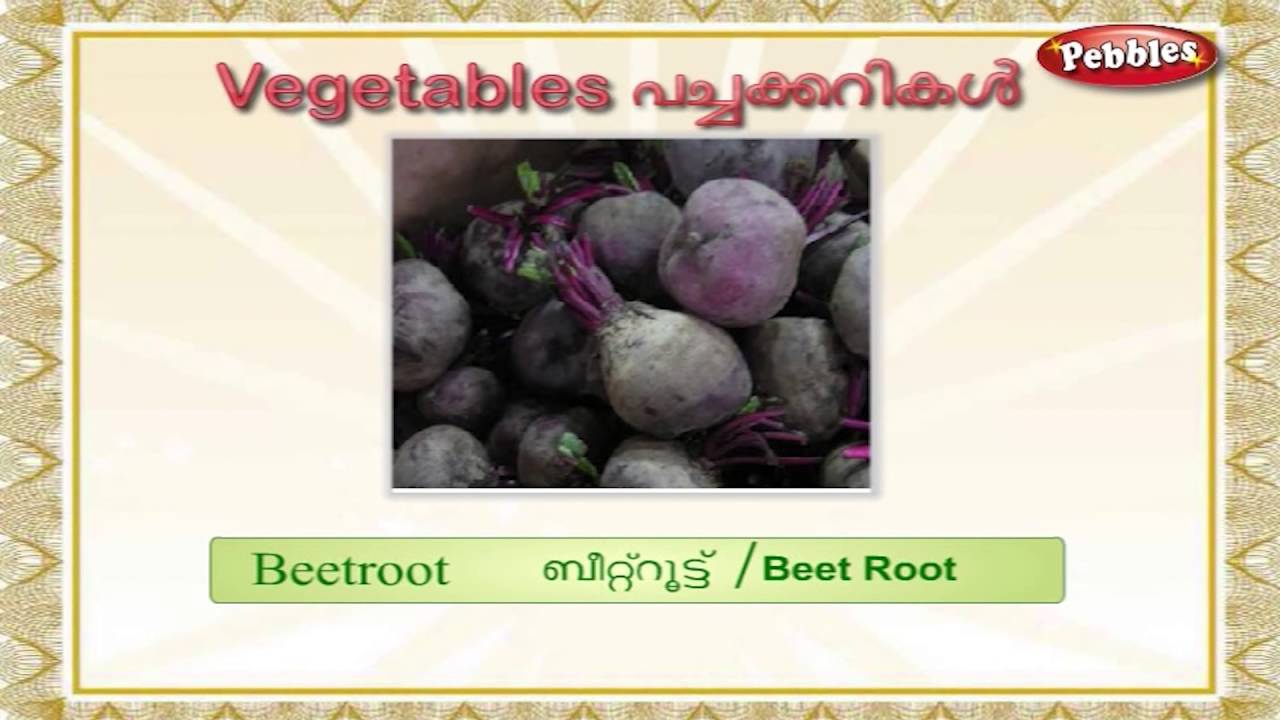 Learn Malayalam Through English Lesson 09 Vegetables YouTube learn-malayalam-through-english-lesson-09-vegetables-youtube
