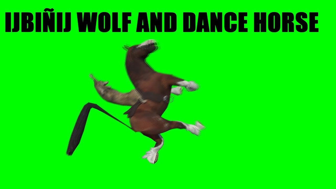 IJBIÑIJ Famous Meme Wolf Rides Horse Green Screen - YouTube
