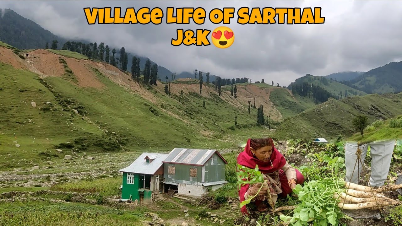Village Life of sarthal j&K || Exploring Bani valley🔥😍 - YouTube