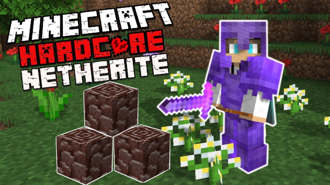 I GOT NETHERITE EVERYTHING in Hardcore Minecraft! Ep.9 - YouTube