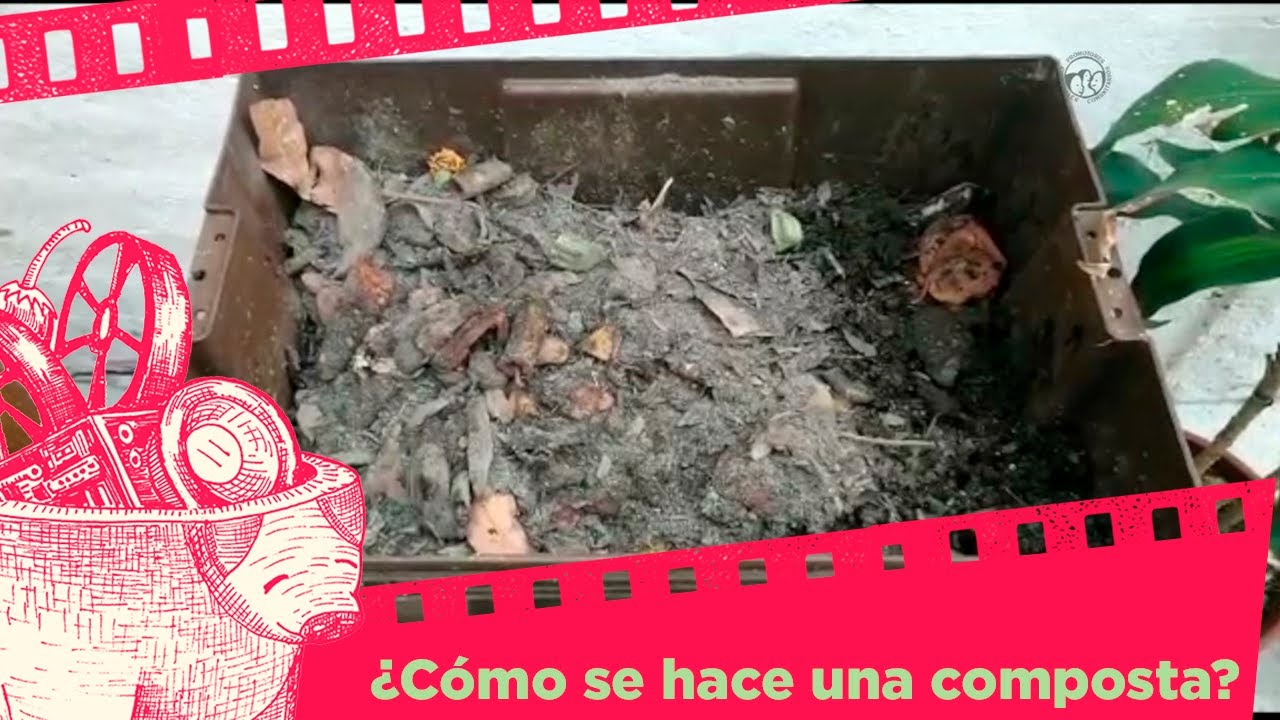 ¿Cómo se hace una composta? - YouTube
