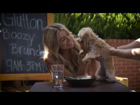 Monica Sims, Puppies, & Brunch