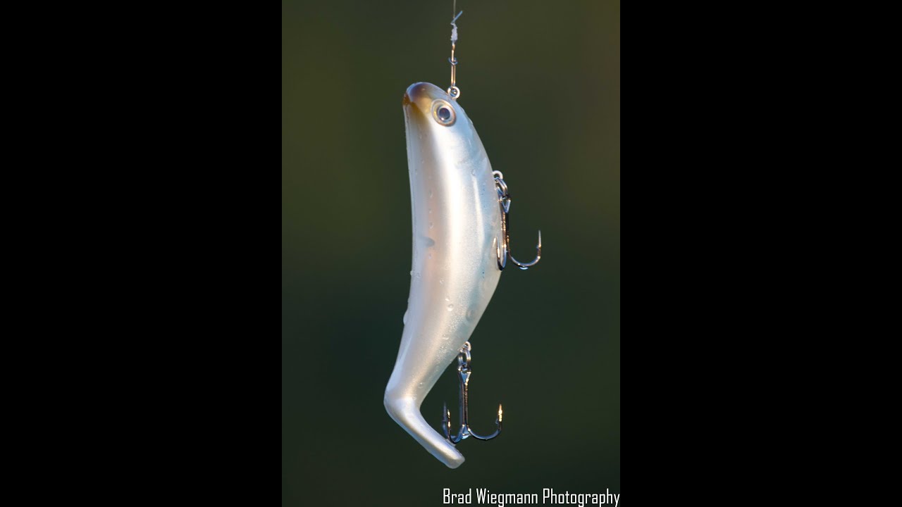 New StutterStep topwater lure by Rat-L-Trap Lures featuring Wesley ...