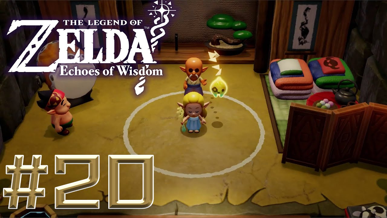 Zelda Echoes of Wisdom FR #20 : Le Dojo du Dodo | Augmenter son ...