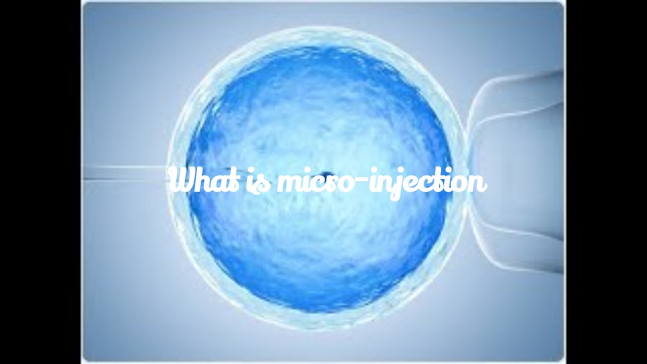 What is micro-injection and steps involved in micro-injection process ...
