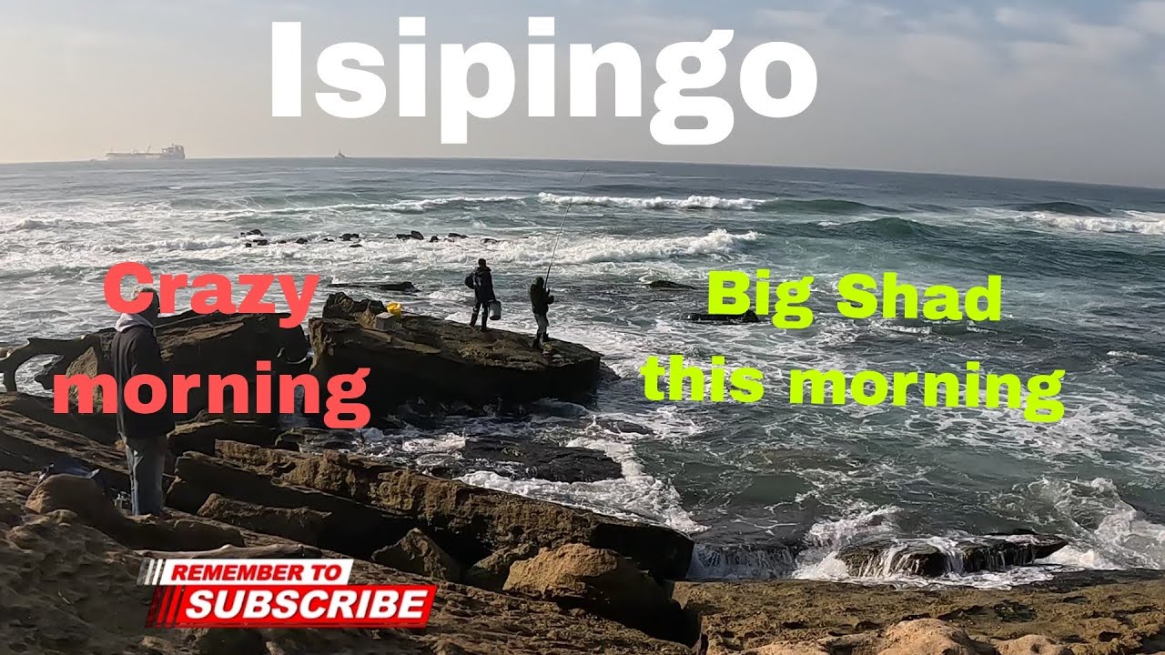 Fishing in Isipingo for Shad - YouTube