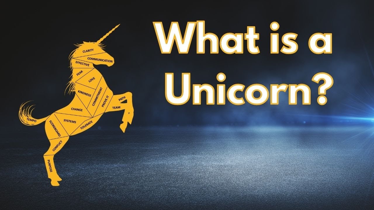 What Is A Unicorn In Business Unicorns Can Be Created YouTube what-is-a-unicorn-in-business-unicorns-can-be-created-youtube