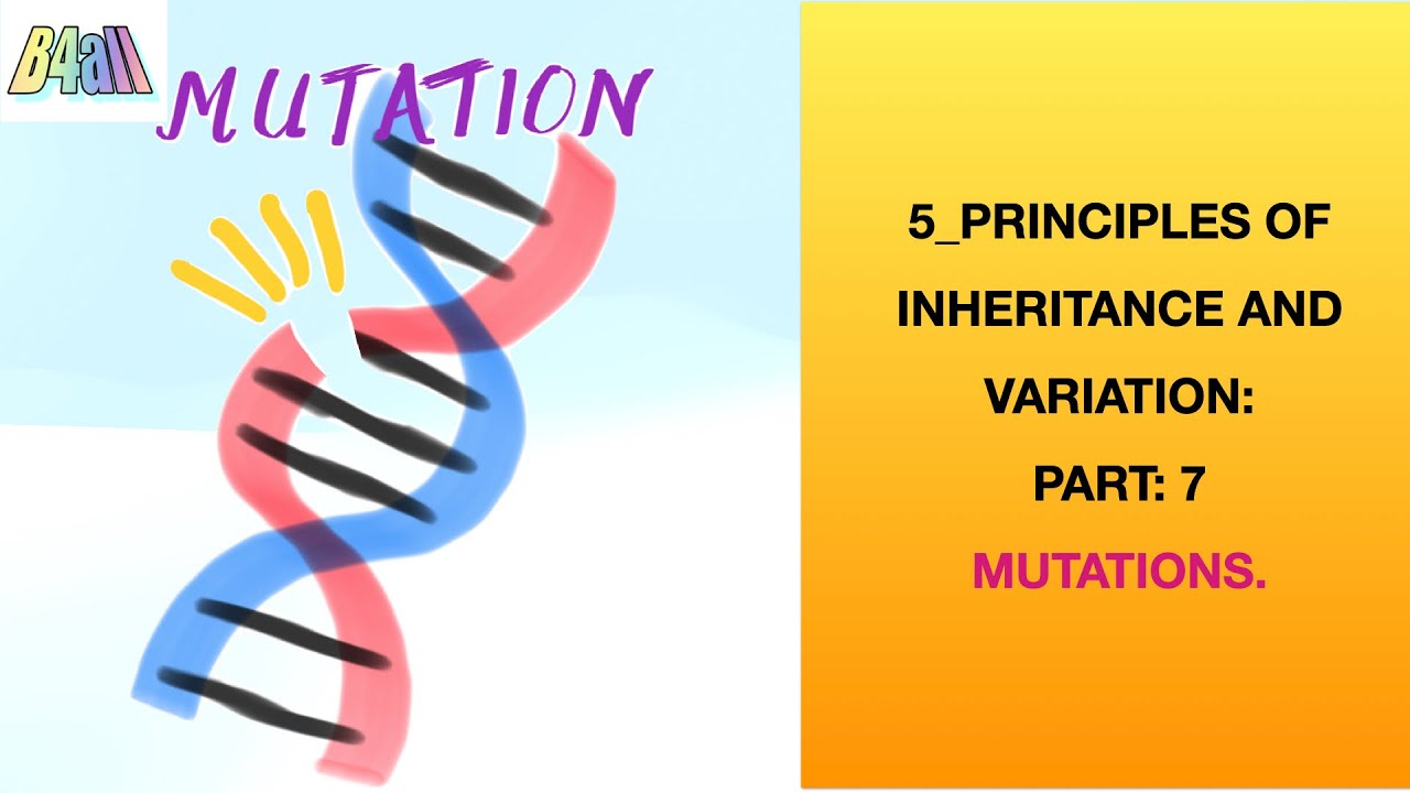 Ch 5 7 GENETICS:I: MUTATIONS_NCERT BASED ASSESSMENT:CBSE_ISC 12 - YouTube