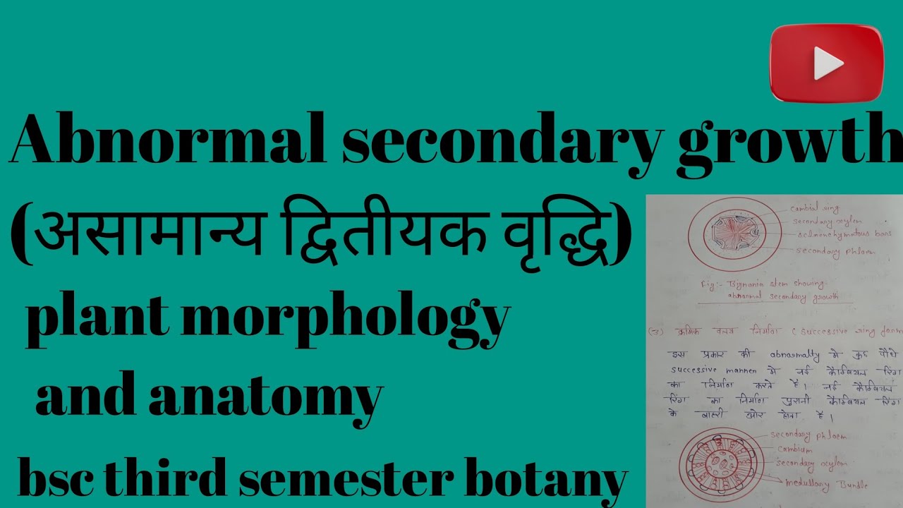 Abnormal secondary growth, plant morphology and anatomy, bsc third ...