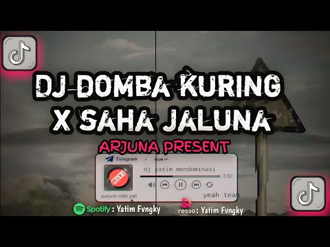 DJ DOMBA KURING X SAHA JALUNA REMIX MENGKANE VIRAL TIKTOK