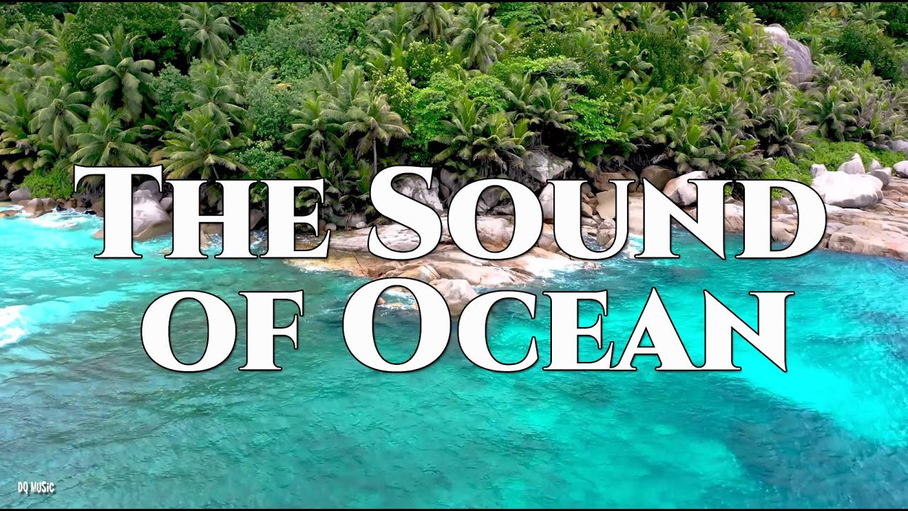 Ocean Sounds & Singing Seagulls - for Relaxing and Meditation ...