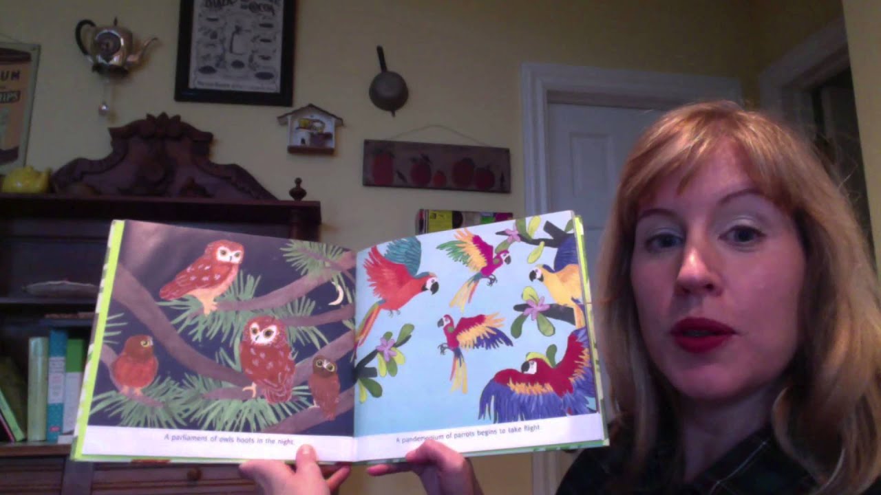 A Troop is a Group of Monkeys Print Book Release - YouTube