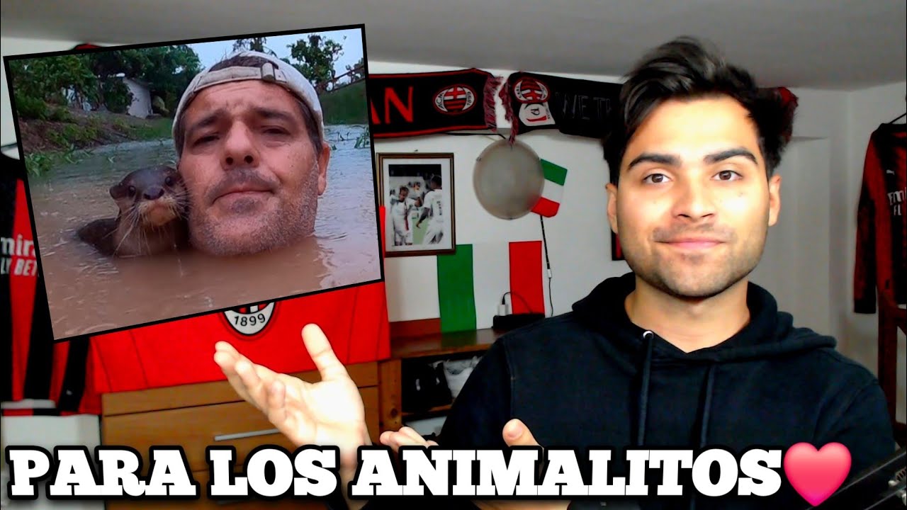 Para los Animalitos del Santuario ️🦦 - YouTube
