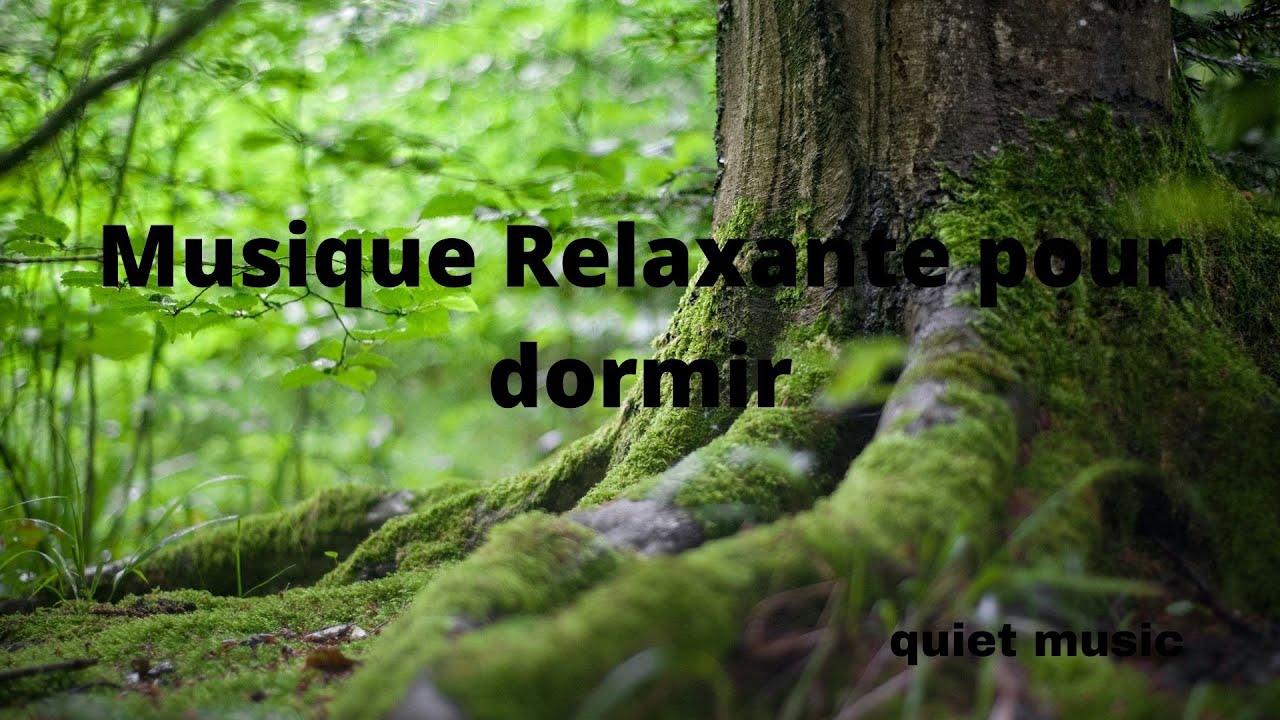 Musique Douce: Relaxante, calme et douce pour dormir, musique douce ...