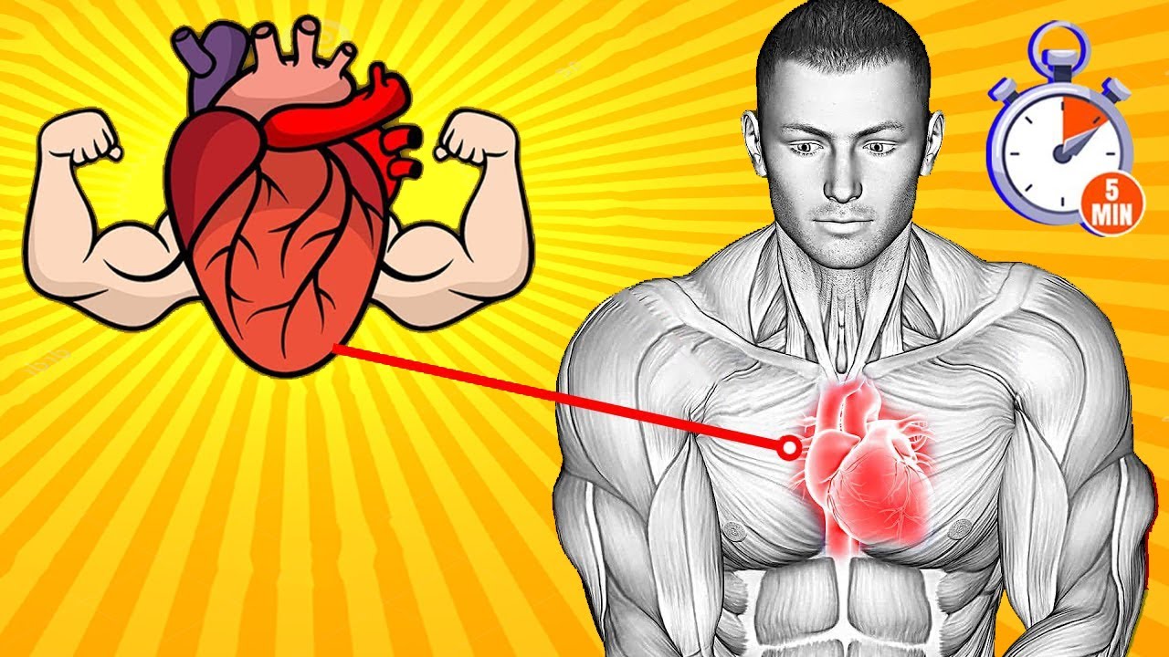 Morning exercises: the best stretching exercises to improve your heart ...