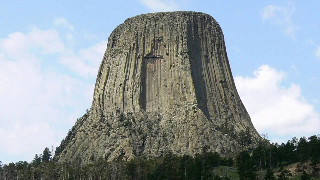 ALL THE GIANT TREES WERE CUT DOWN - YouTube