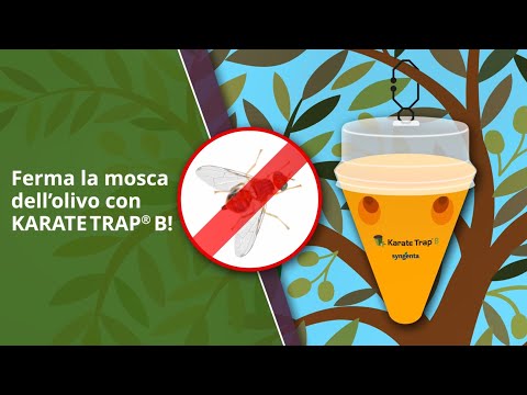 KARATE TRAP B – Semplice, sicuro, efficace