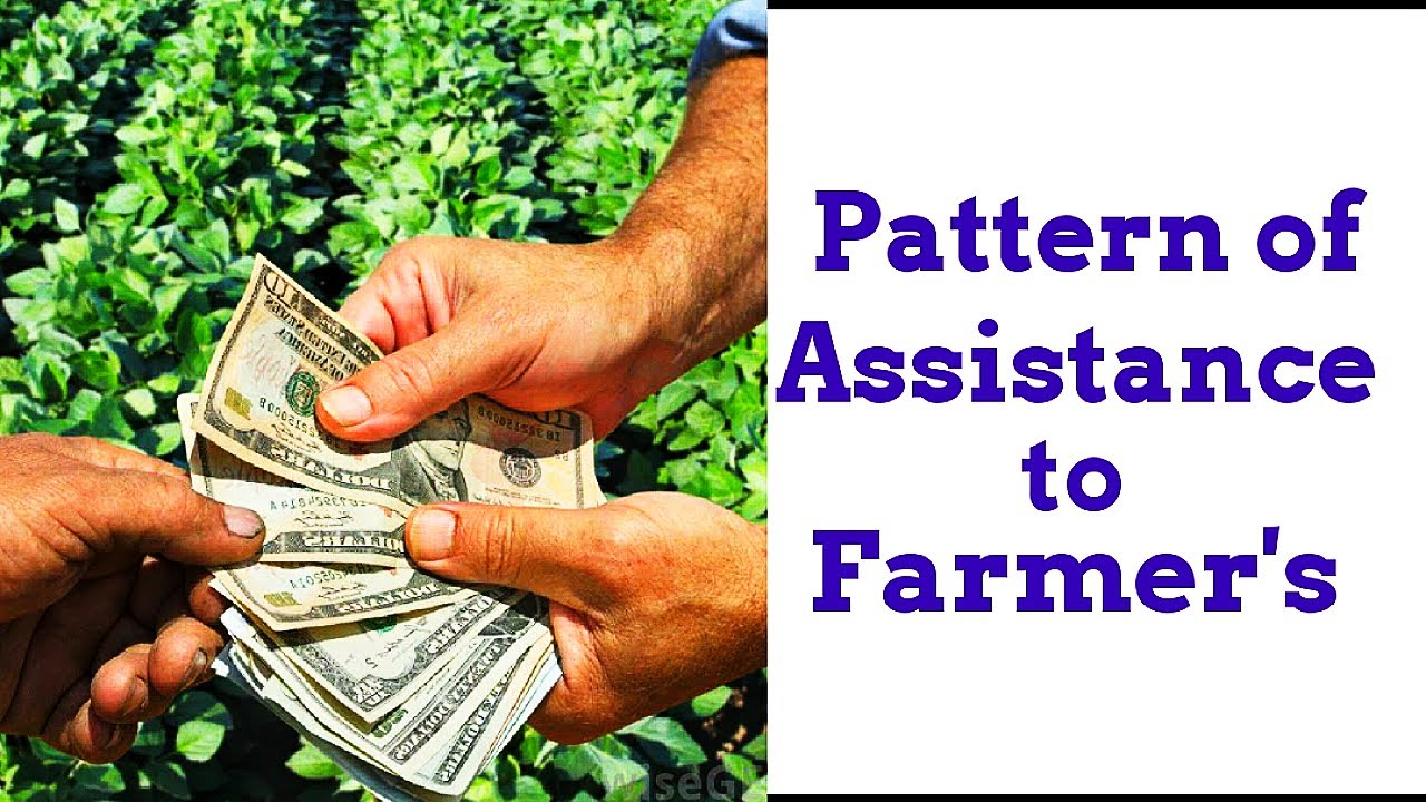 Assistance provide by Government to Farmers // Through Various Schemes ...