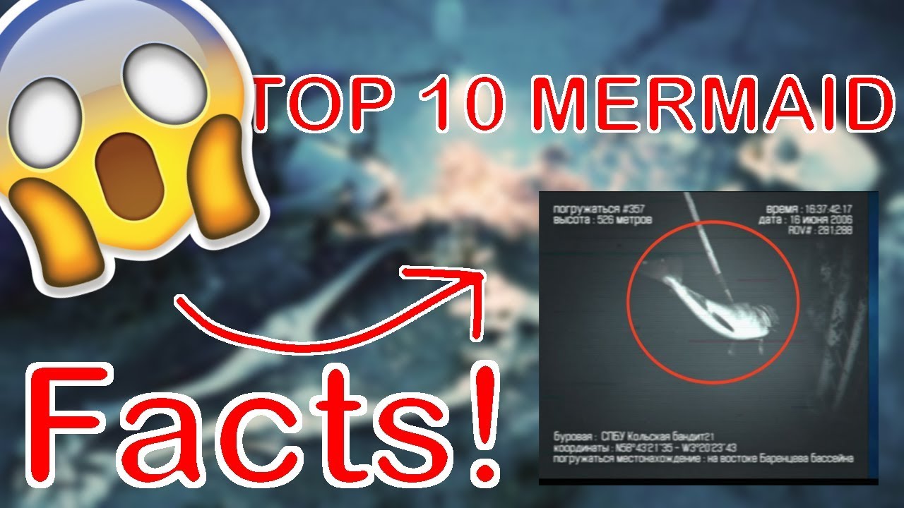 TOP 10 AMAZING 😎 FACTS ABOUT MERMAID DISCOVERY! You won't believe the ...