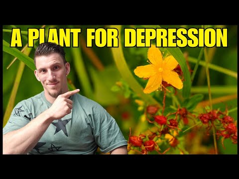 A plant for depression, anxiety and ADHD - YouTube