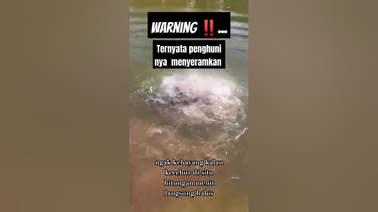 Sungguh menyeramkan guys‼️ - YouTube