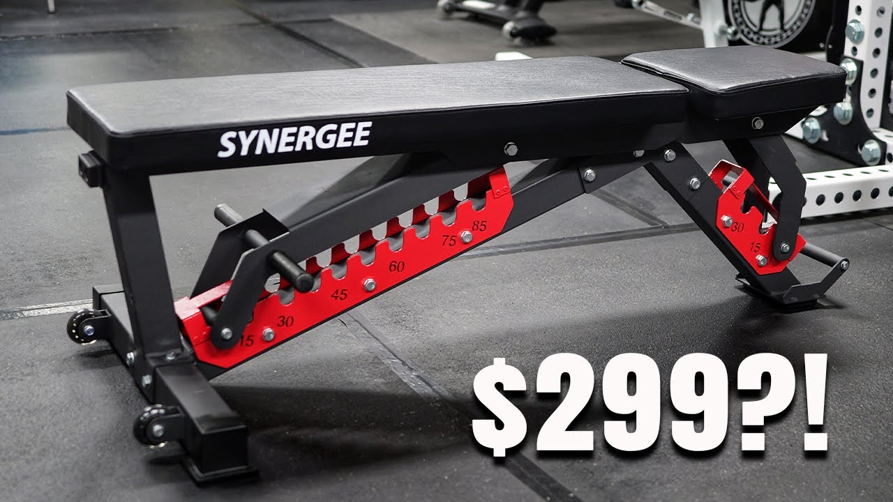 Synergee Adjustable Bench - REP Competitor or Pretender? - YouTube
