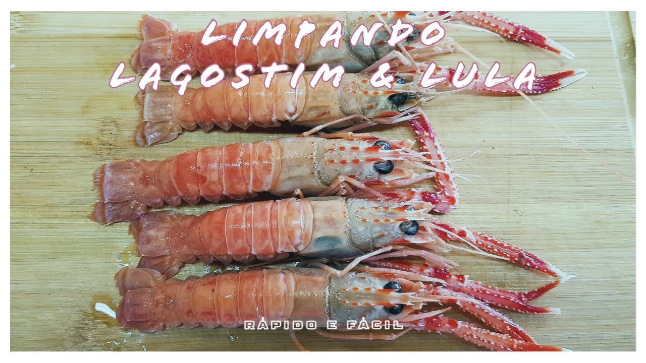 Como Limpar O Lagostim - RETOEDU