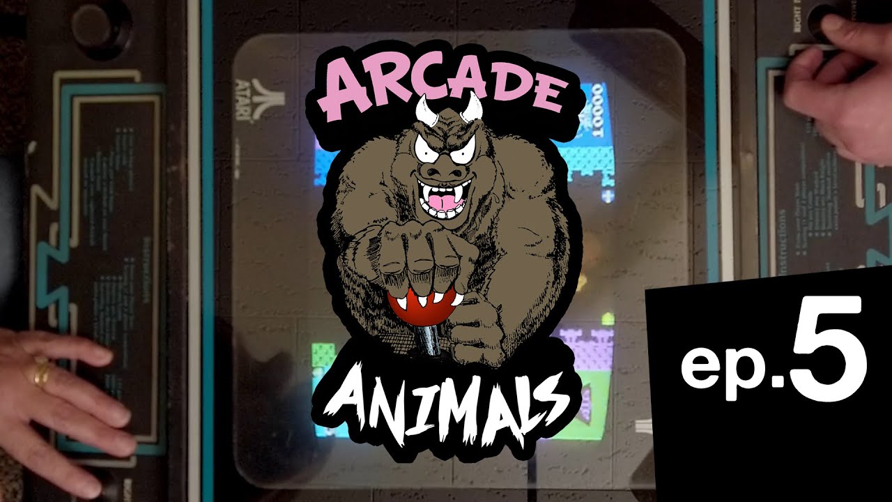 Arcade Animals | S1 E5 👾 Family Face-Off: The Voglers vs. The Xaviers ...