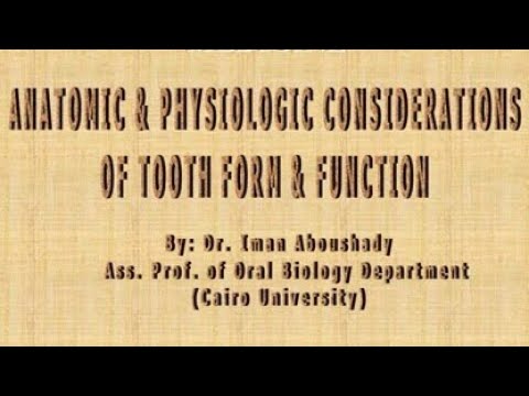 Dental Anatomy 2 ; Lec 2 ; Anatomic and Physiologic Considerations of ...