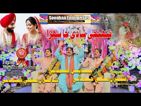 Tuhnji Shadi Ja shera Tho Ghayan  Babal Jamali  Imran Jamali  Kamran Jamali| New Shadi Song  HD