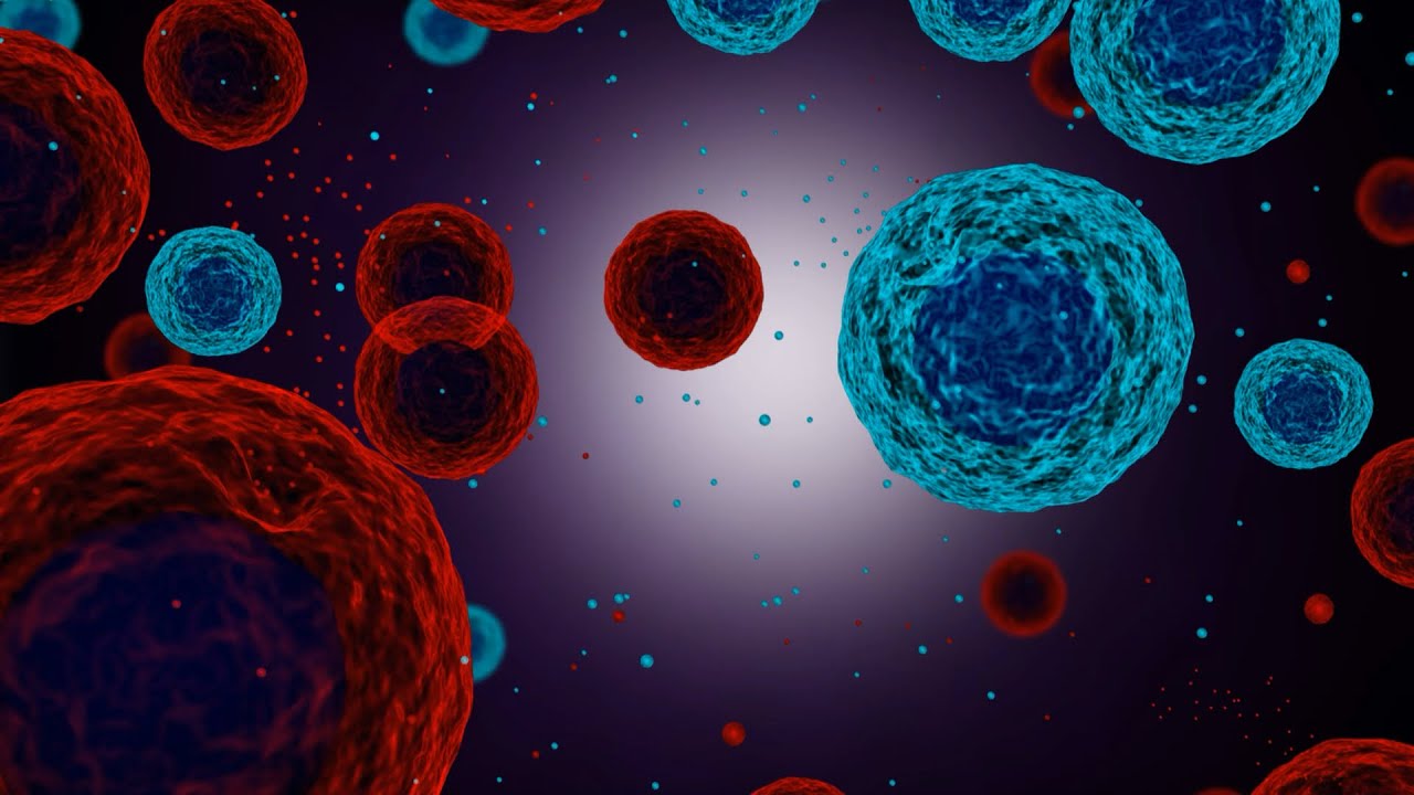 Unlocking Youth: PRP, Exosomes & Stem Cells in Aesthetic Care. - YouTube