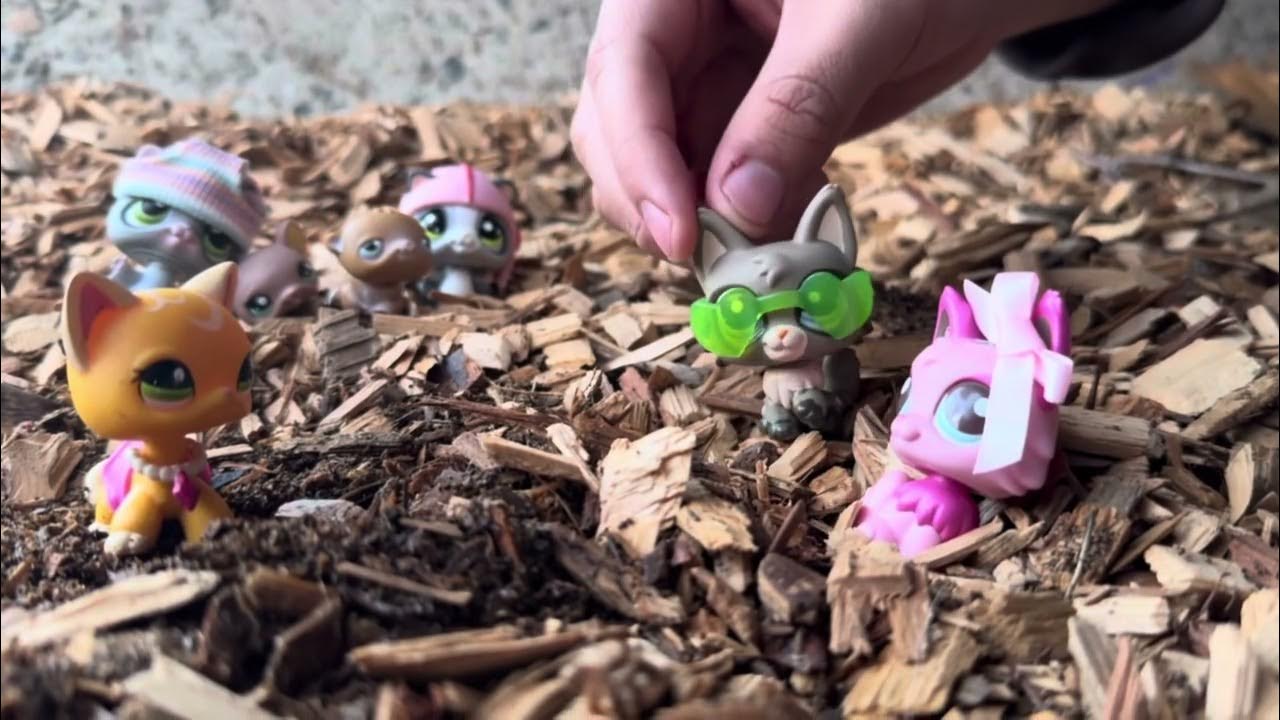 Advanced Animal Science Final 2024 - Gram Staining - YouTube