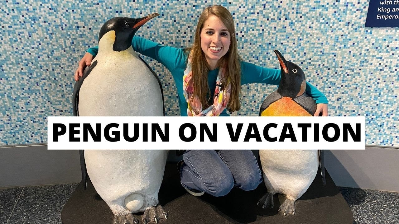 Penguin on Vacation I Moody Gardens I Galveston I Salina Yoon I Penguin ...