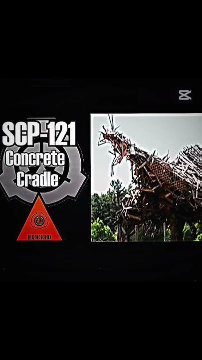 SCP-121 CLASS EUCLIDE #edit #scp - YouTube
