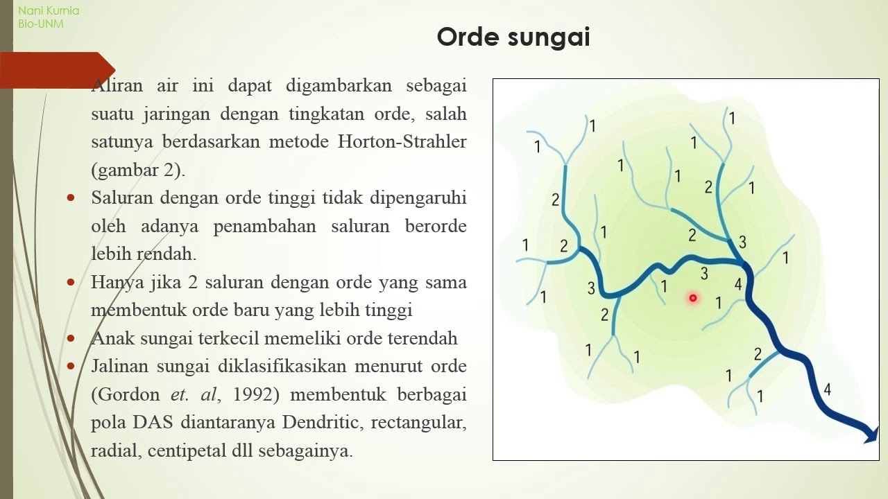 Struktur dan Produktivitas Sungai - YouTube