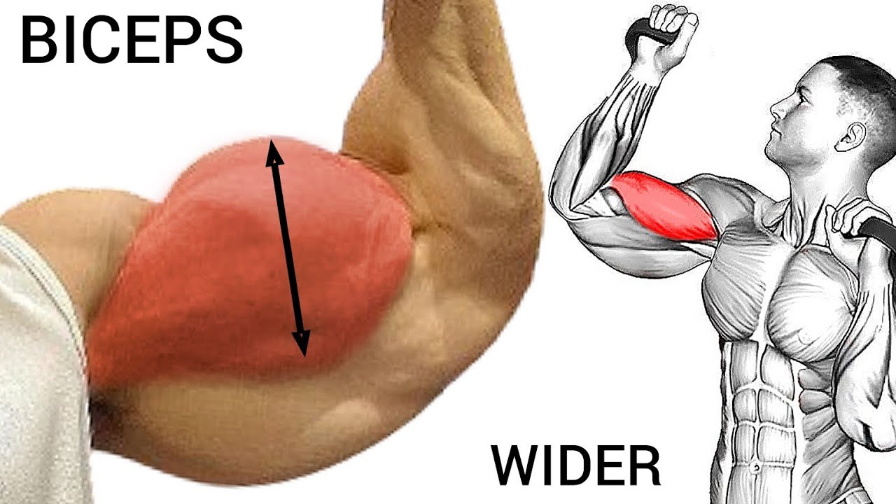 6 Workout Exercises to Get Wider Biceps and Mass - YouTube