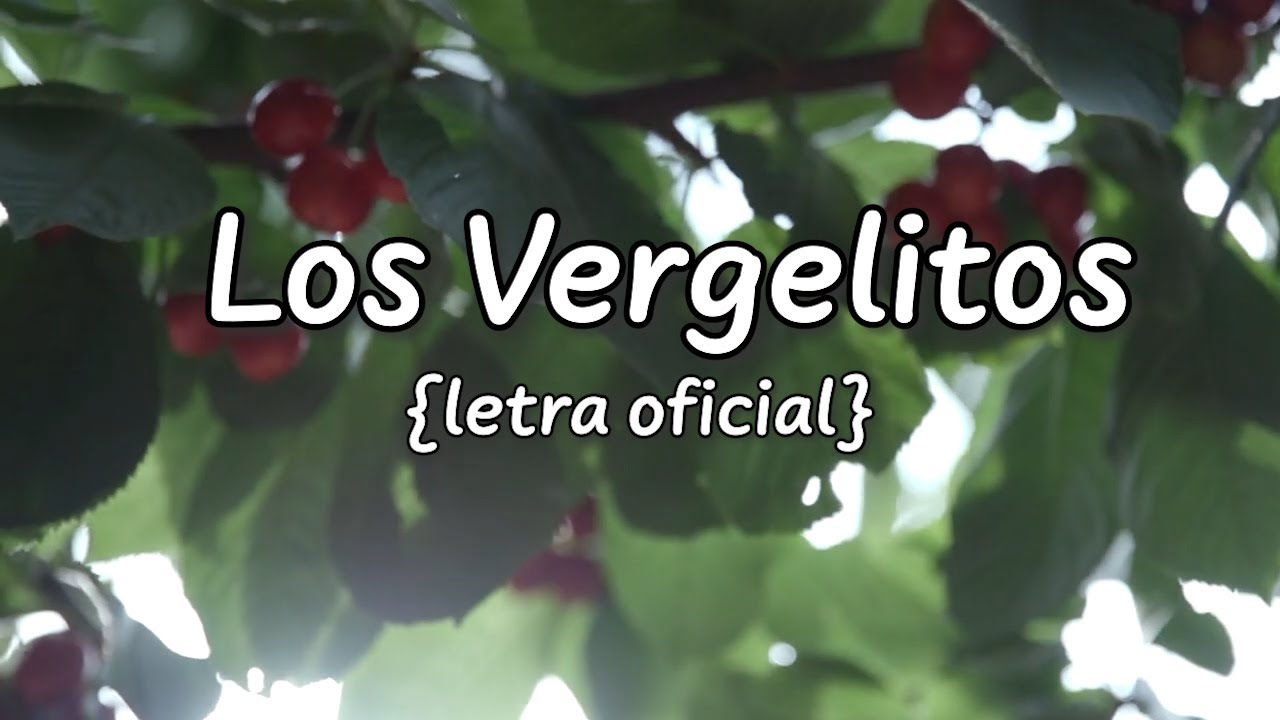 Conjunto Rio Grande "Los Vergelitos"- [Letra Oficial] - YouTube