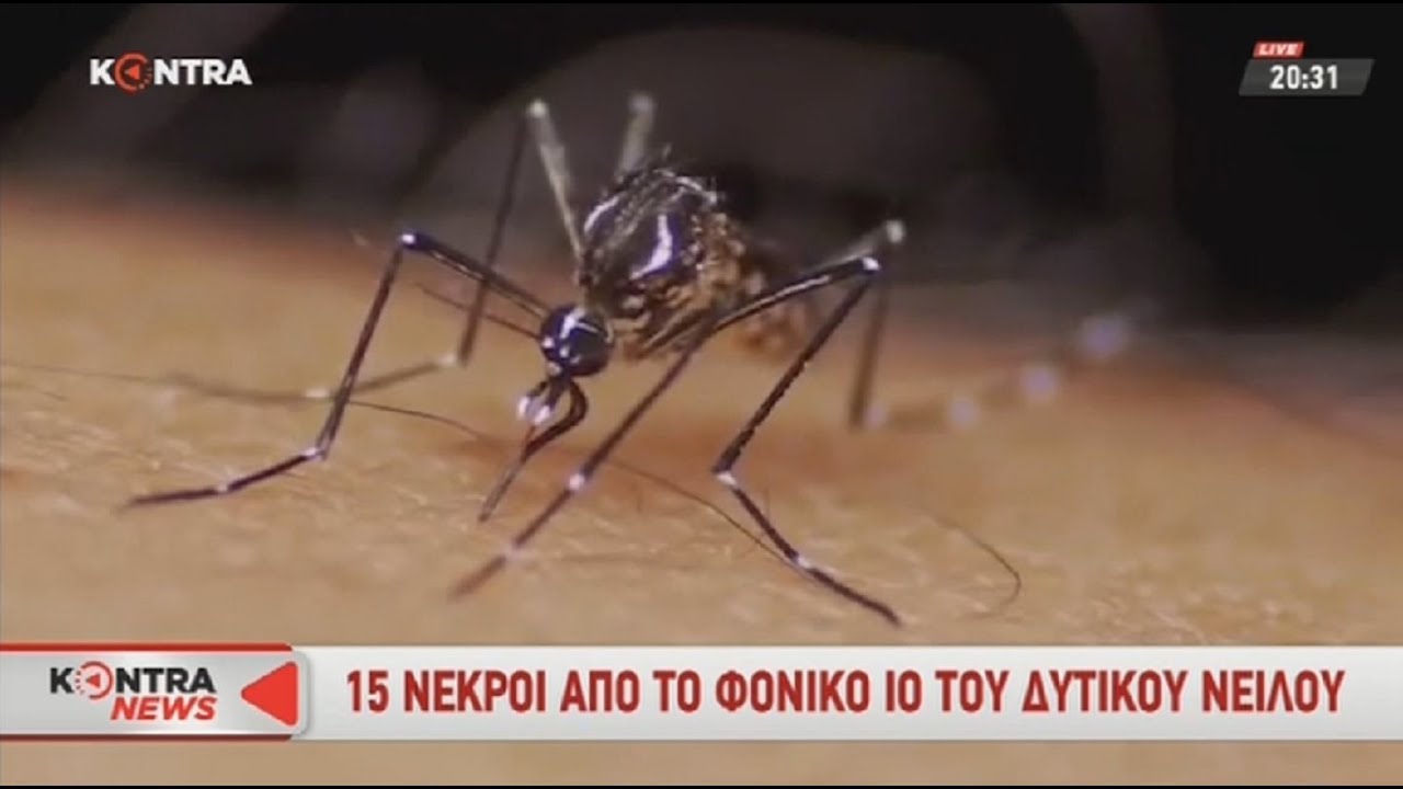 Αντώνης Λέπουρας για τον ιο του δυτικού Νείλου και τα μέτρα προστασίας ...