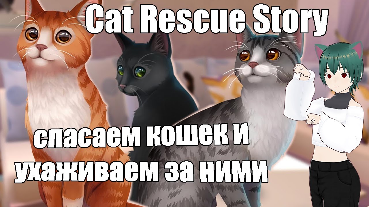 Cat Rescue Story - спасаем кошек и котов! - YouTube