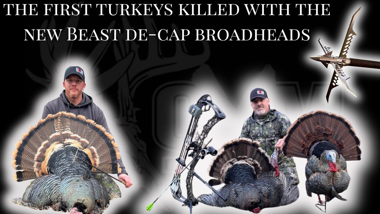 The First Turkeys Killed With The New BEAST De-Cap Broadhead | Outdoor X Media | Turkey Tour ...