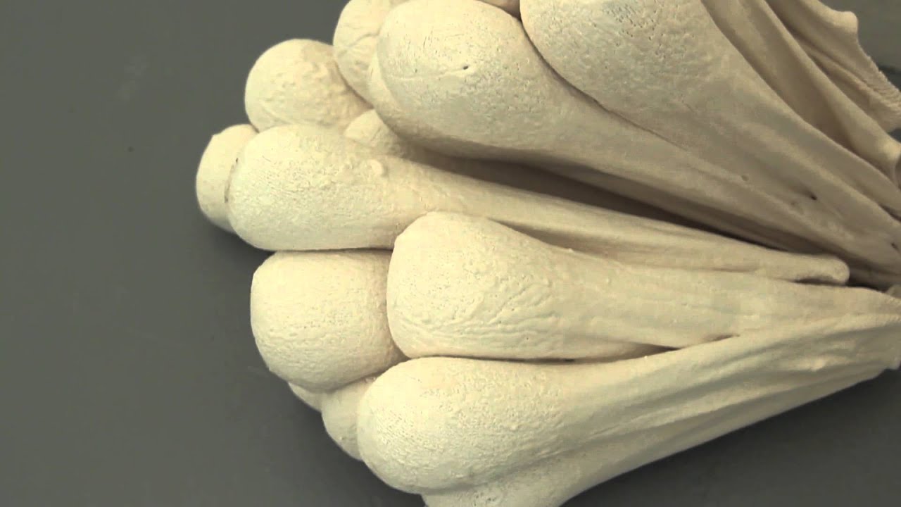 Pudendum Exhibition Tour, AUCB, Nov 2011 - YouTube